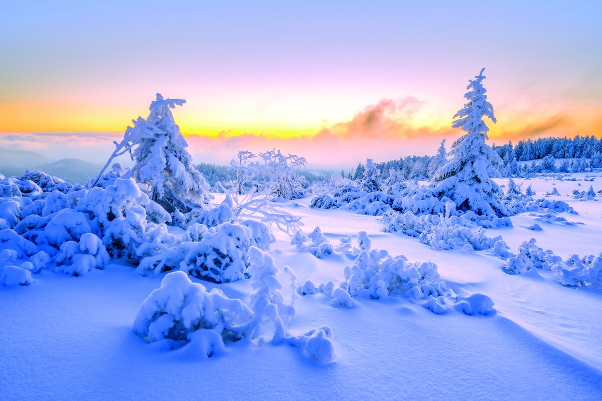 Rotary in Deutschland: Stimmungsvoller Schwarzwald II